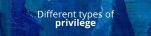 Read about 5 main types of privilege - Hive Learning