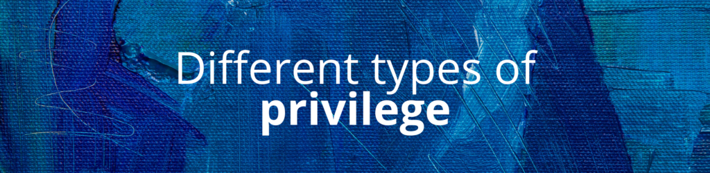 Read about 5 main types of privilege - Hive Learning
