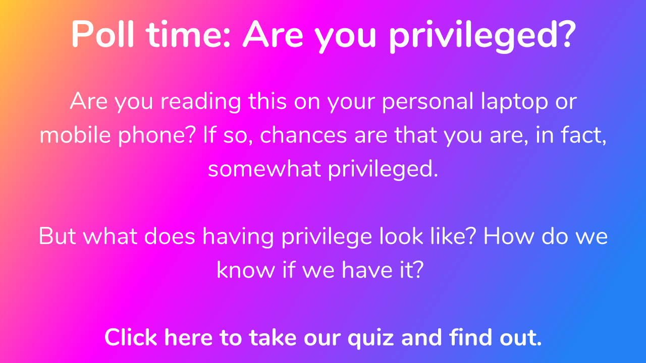 Read about 5 main types of privilege - Hive Learning
